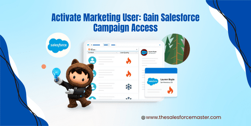 Activate Marketing User: Gain Salesforce Campaign Access | The ...